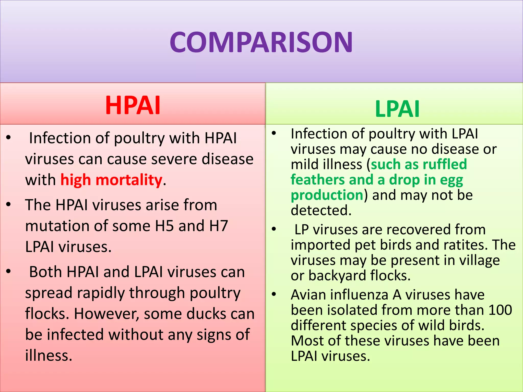 Avian influenza (PGS 502).pptx
