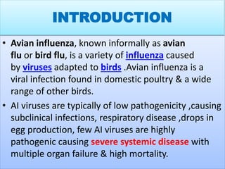 Avian influenza (PGS 502).pptx