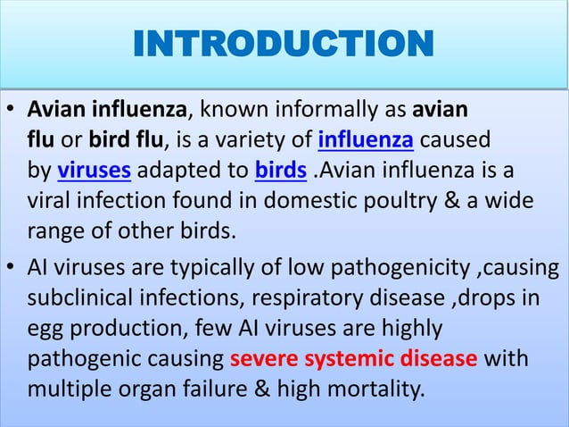 Avian influenza (PGS 502).pptx | Infectious Diseases | Diseases and Conditions