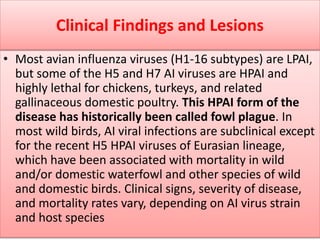 Avian influenza (PGS 502).pptx