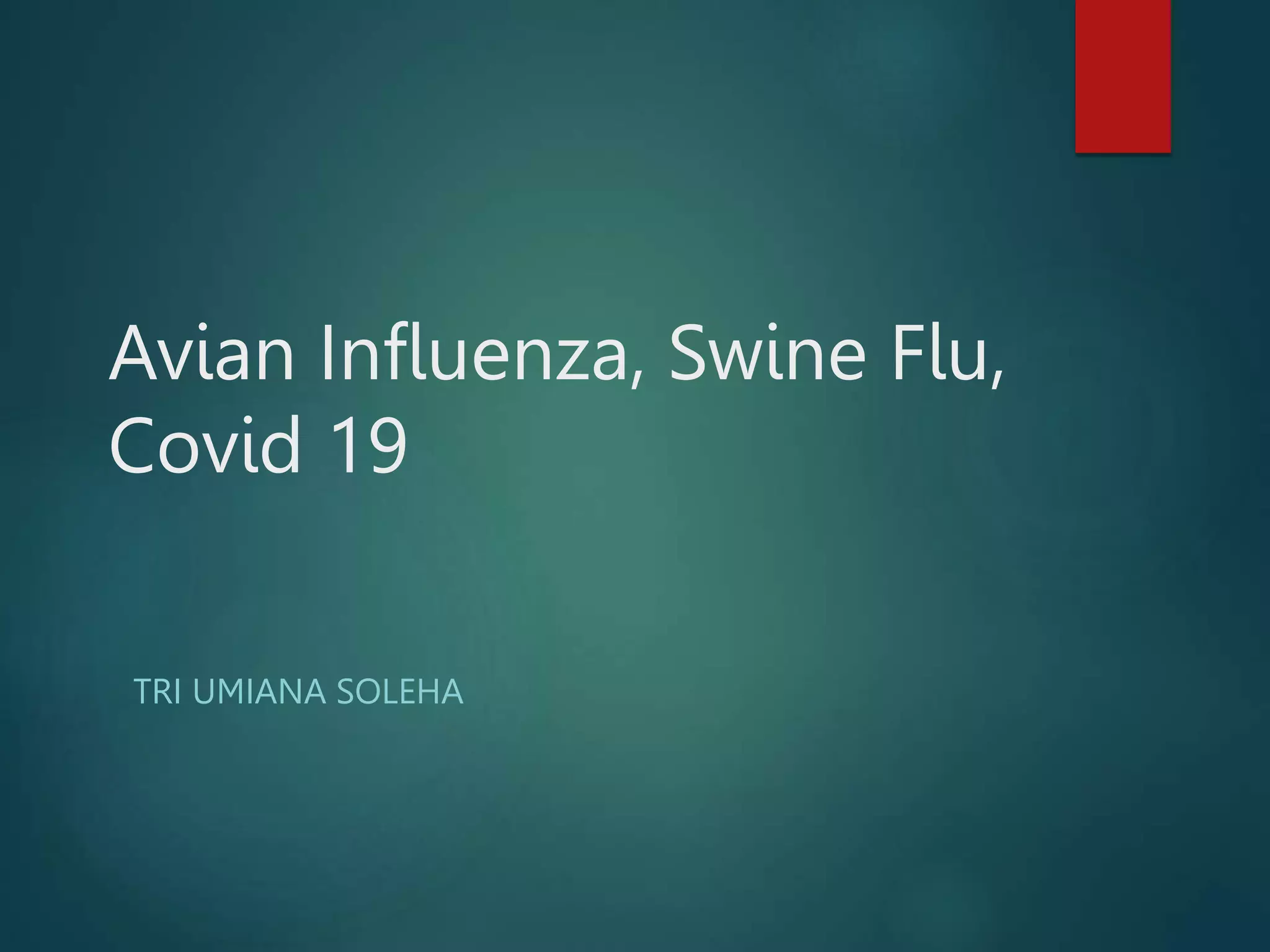 Avian_Influenza + Swine Flu.ppt