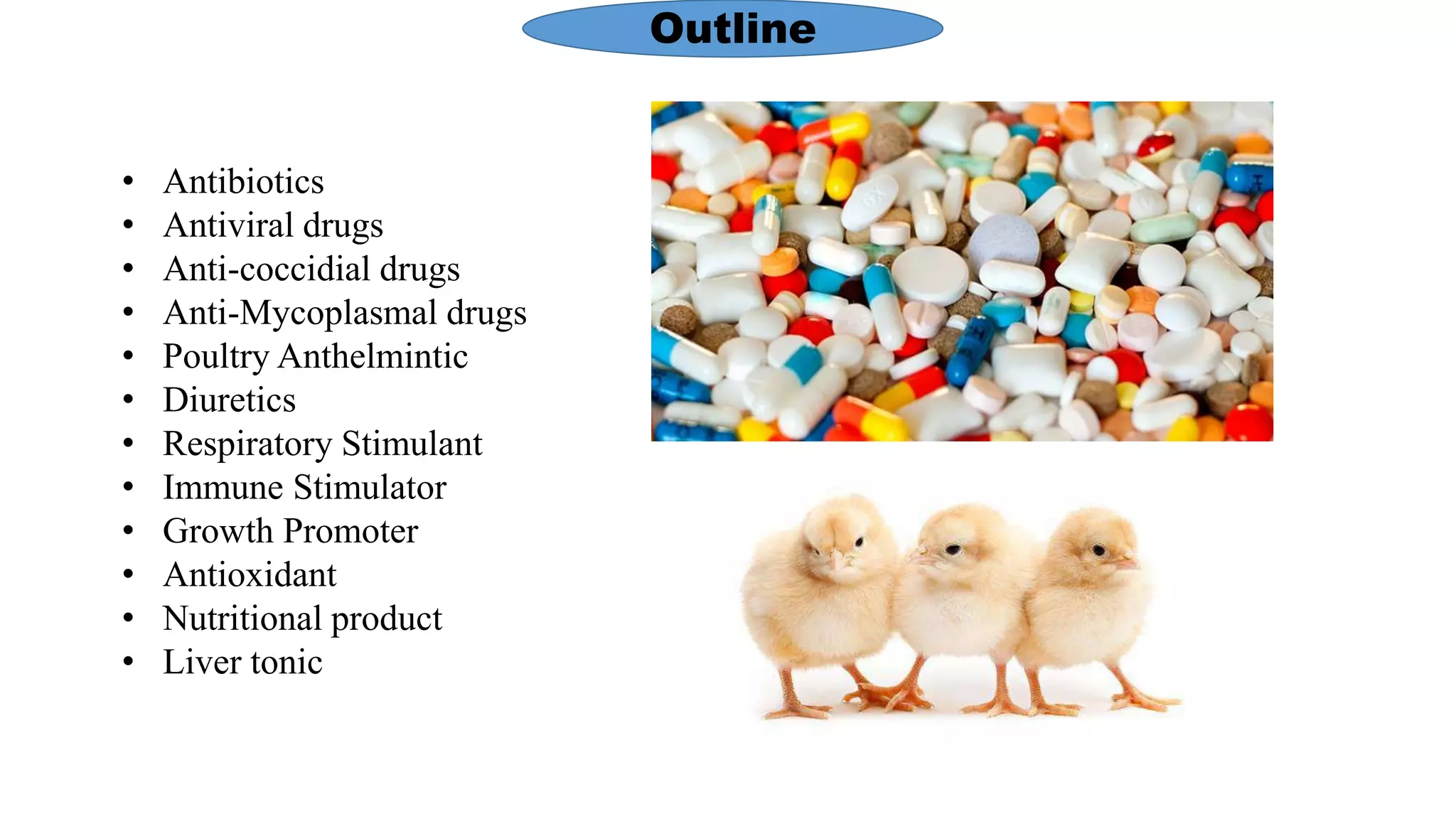 Avian medicine shuvo | PPTX