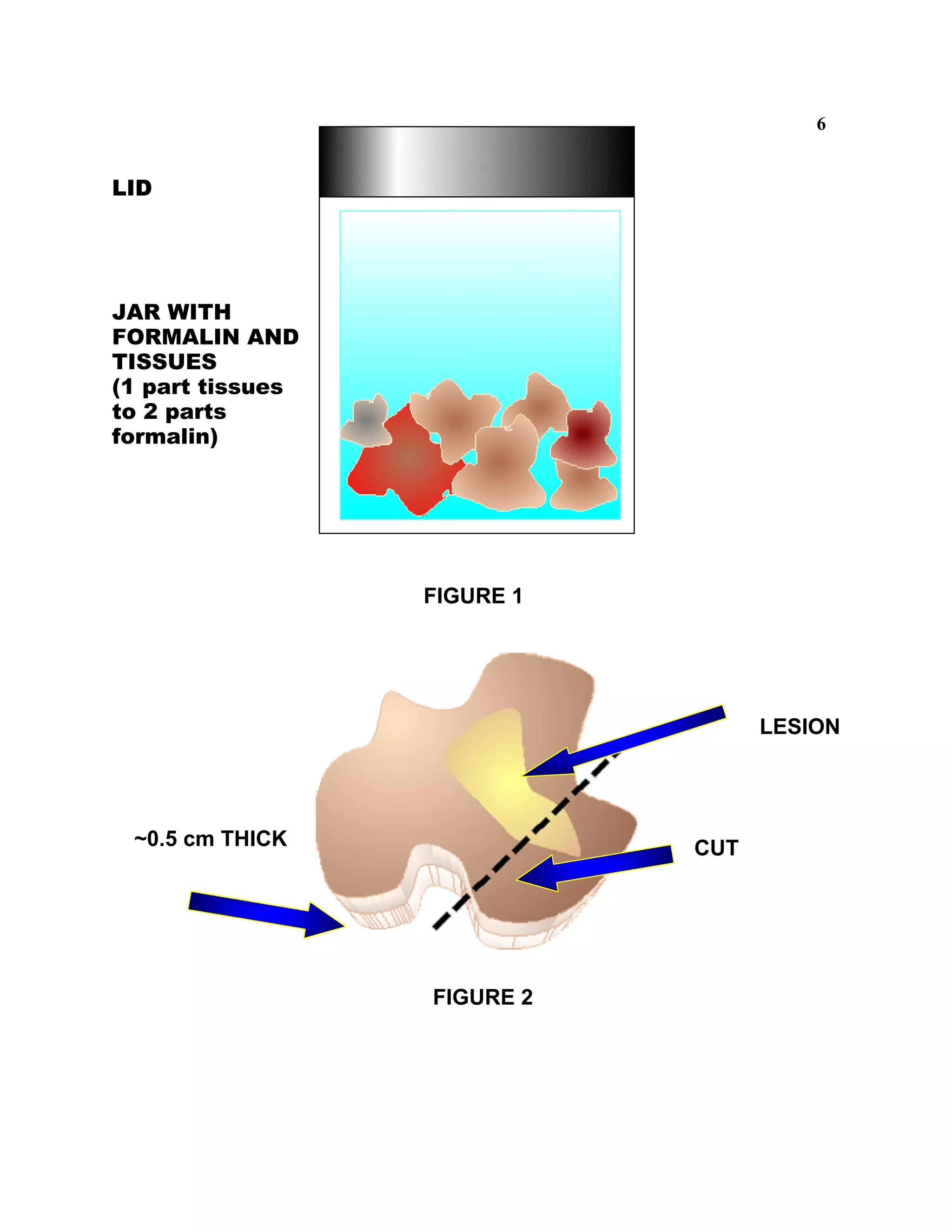 Avian necropsy manual for biologists in remote refuges | PDF