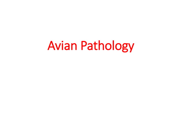 Avian Pathology.pptx | Infectious Diseases | Diseases and Conditions