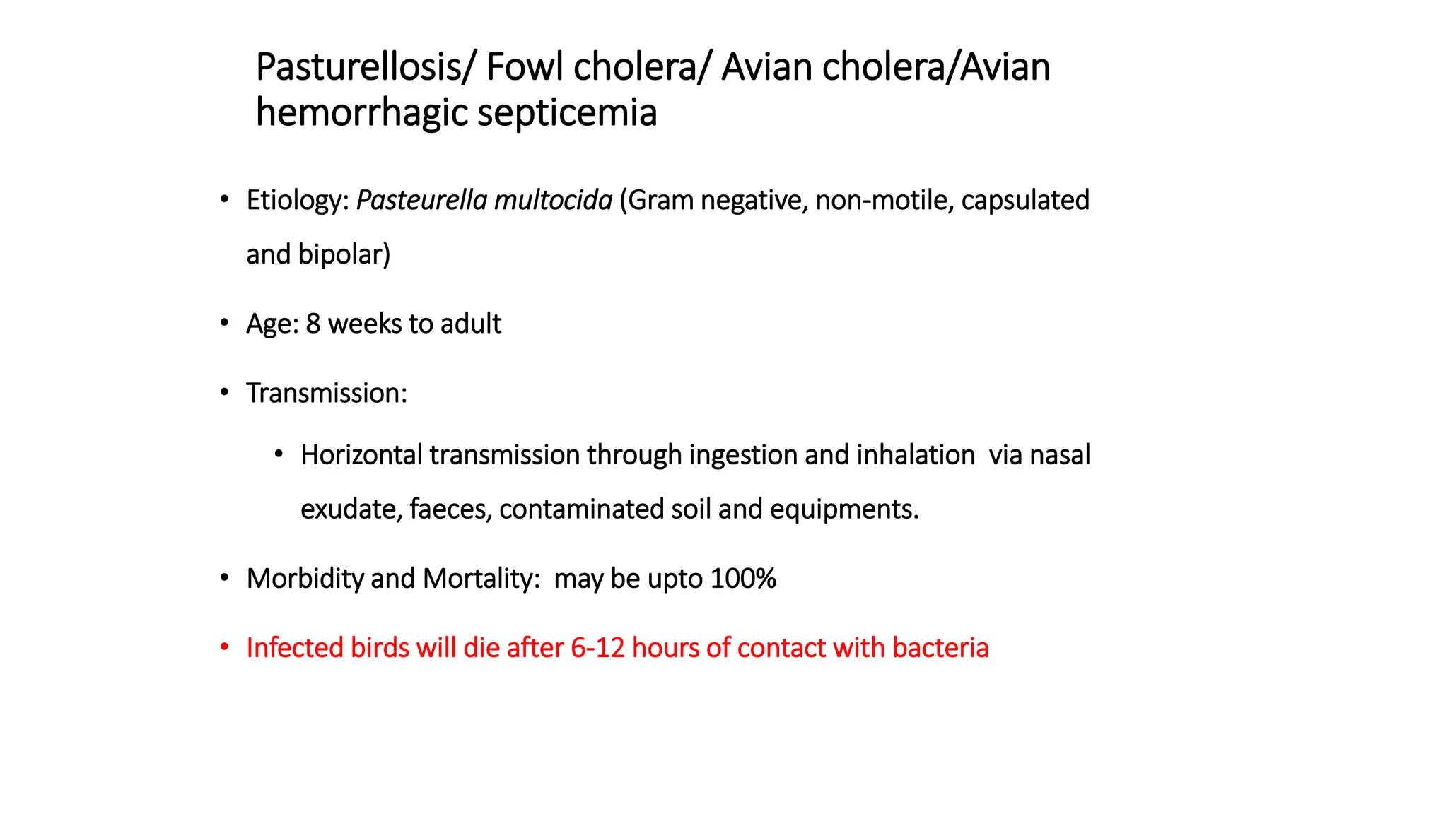 Avian Pathology.pptx