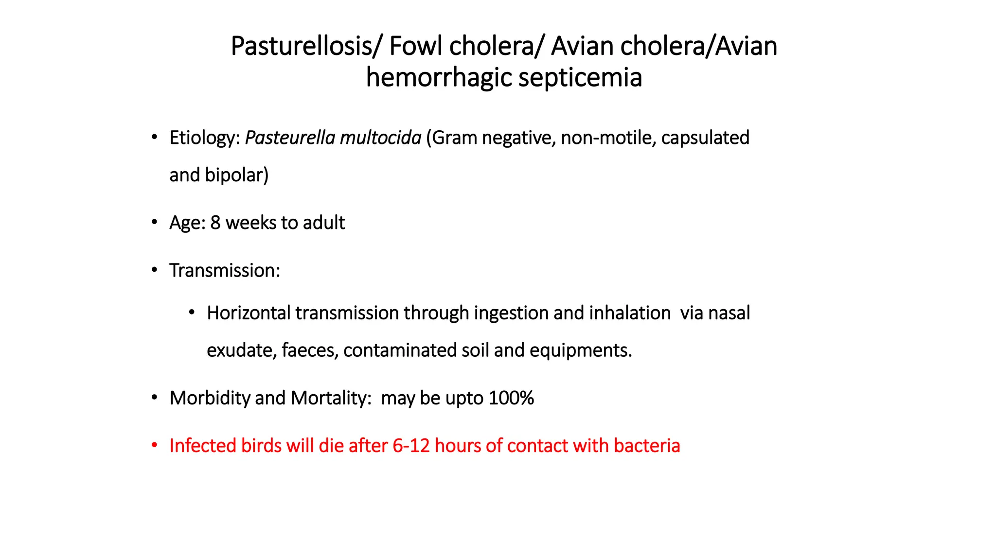 Avian Pathology.pptx