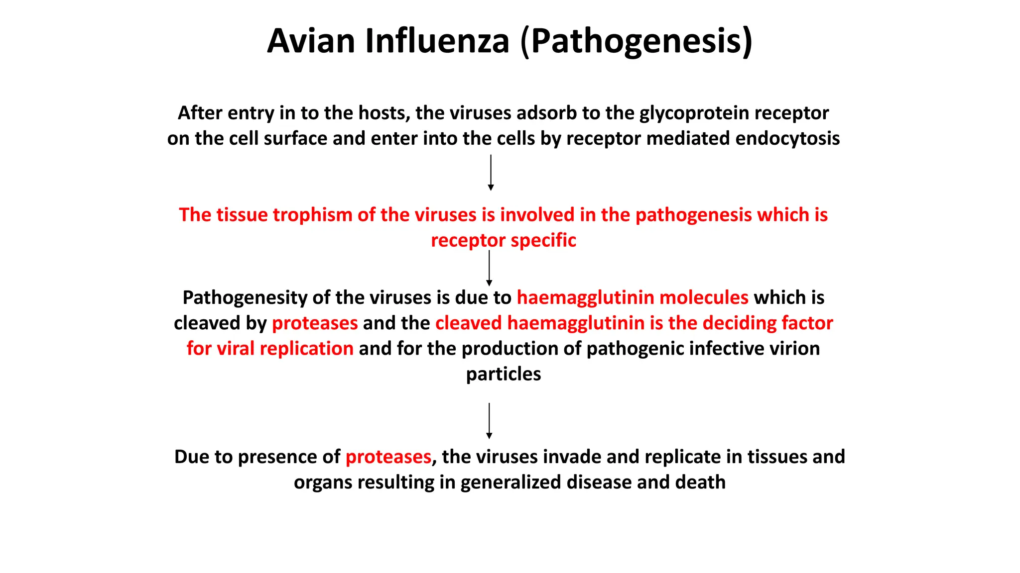 Avian Pathology.pptx