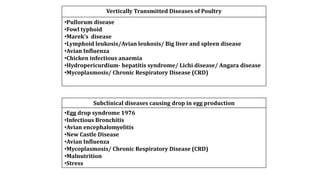 Avian Pathology.pptx
