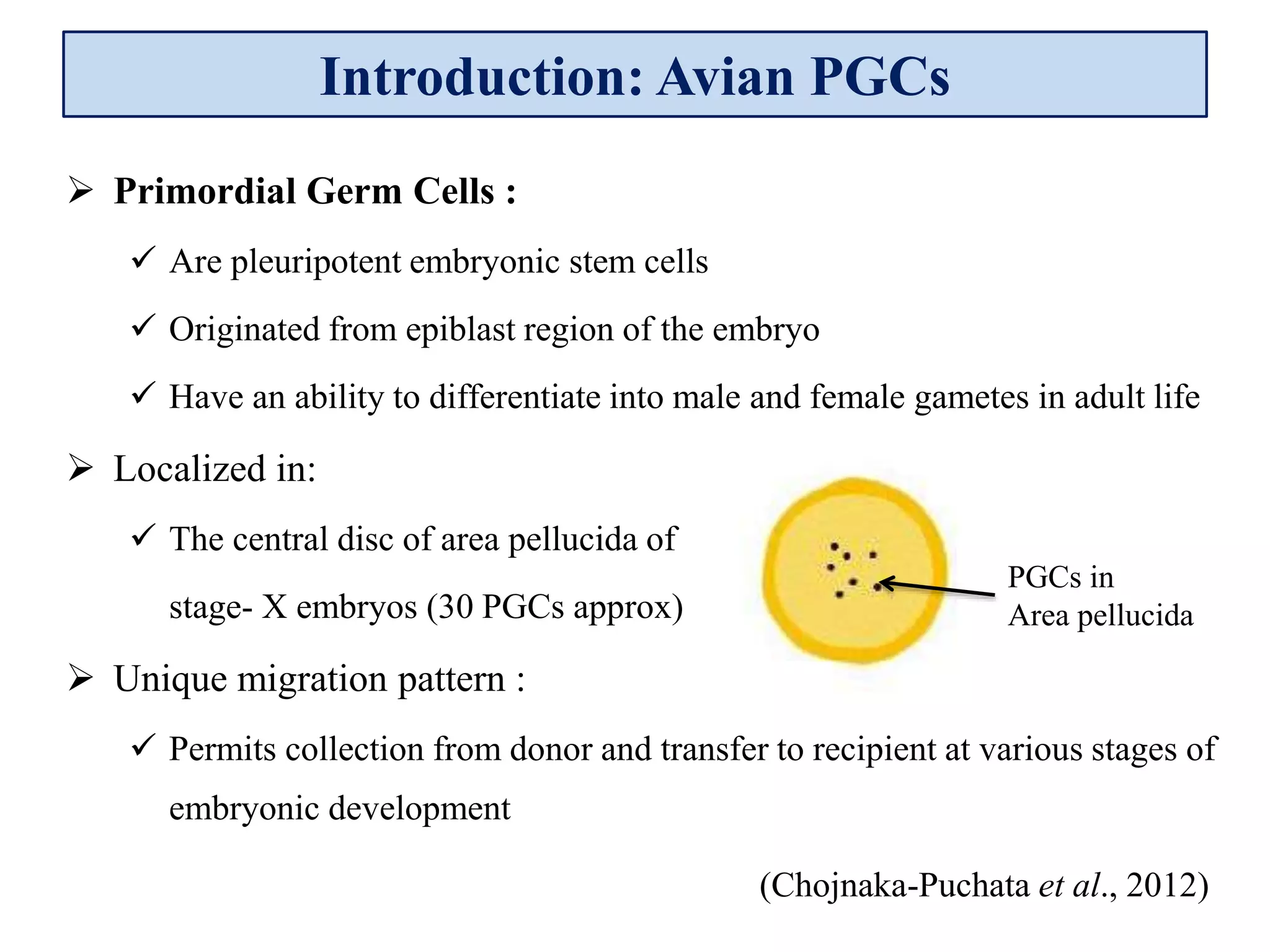 Primordial Germ Cells- A tool for avian genome manipulation | PPTX