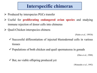 Primordial Germ Cells- A tool for avian genome manipulation | PPTX