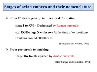 Primordial Germ Cells- A tool for avian genome manipulation | PPTX