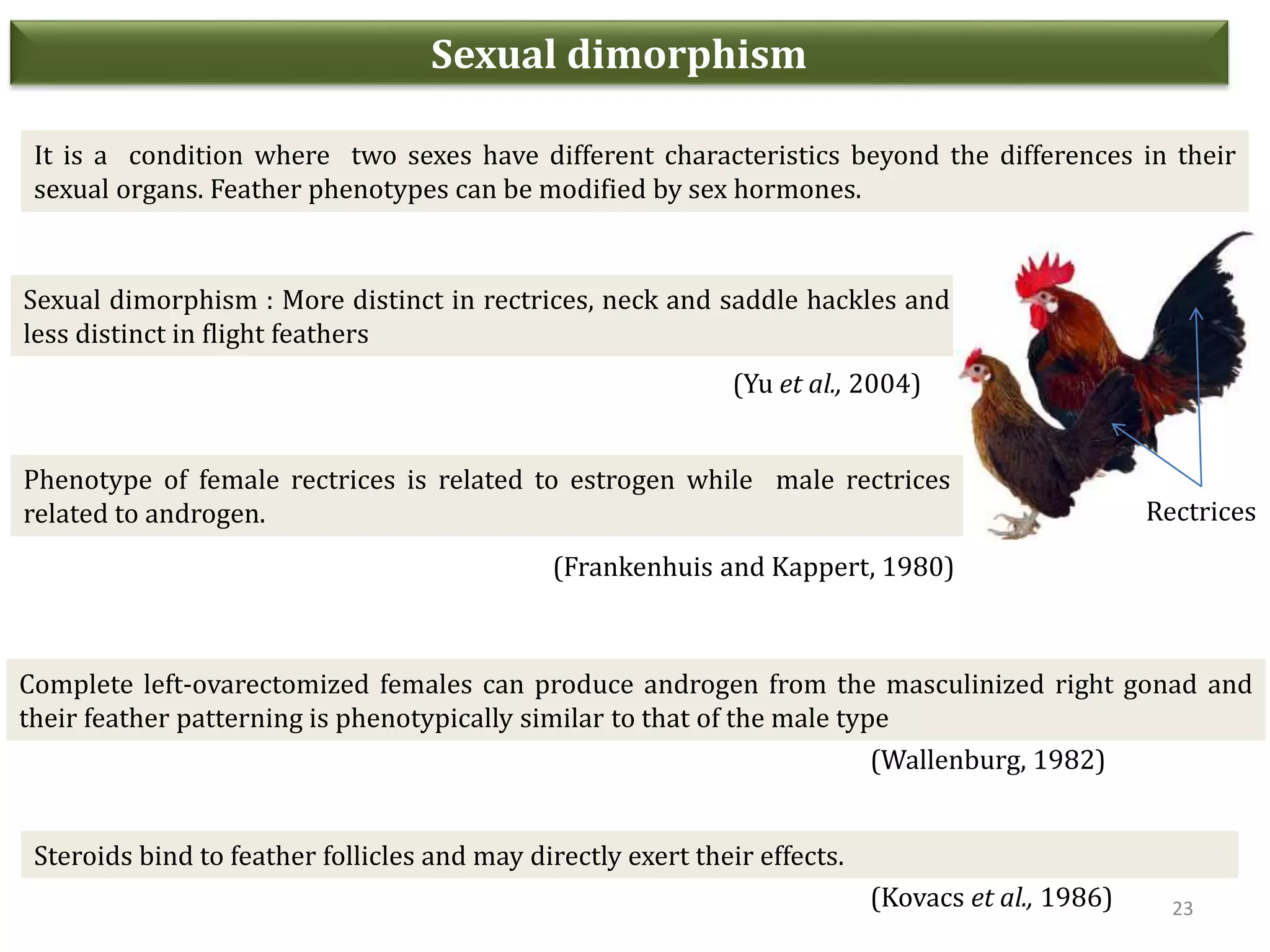 Avian plumage and its significance | PPTX