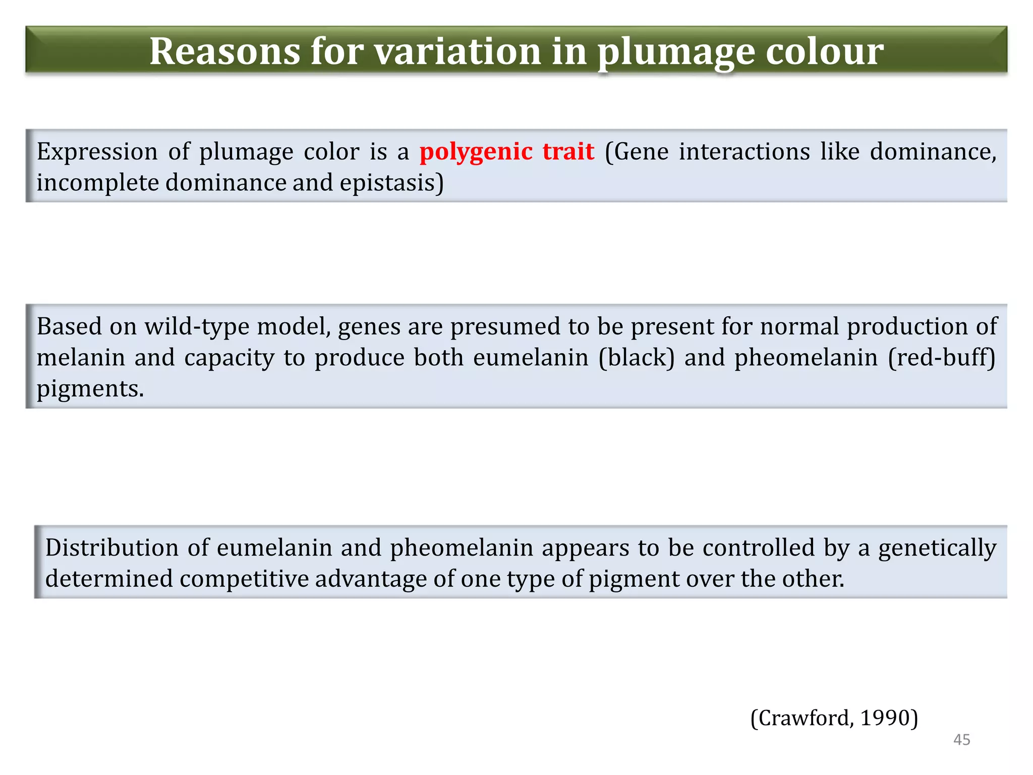 Avian plumage and its significance | PPTX