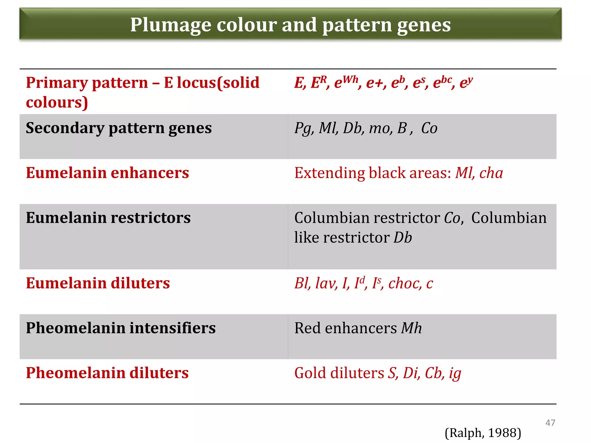 Avian plumage and its significance | PPTX