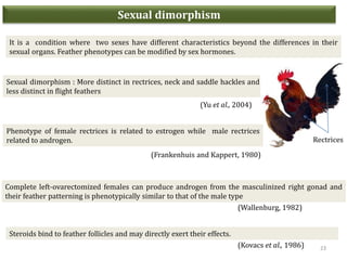Avian plumage and its significance | PPTX