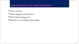 Avians (poultry )Postmortem examination. | PDF