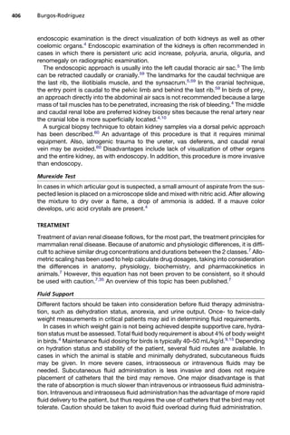 Avian Renal System.pdfAvian Renal System.pdf
