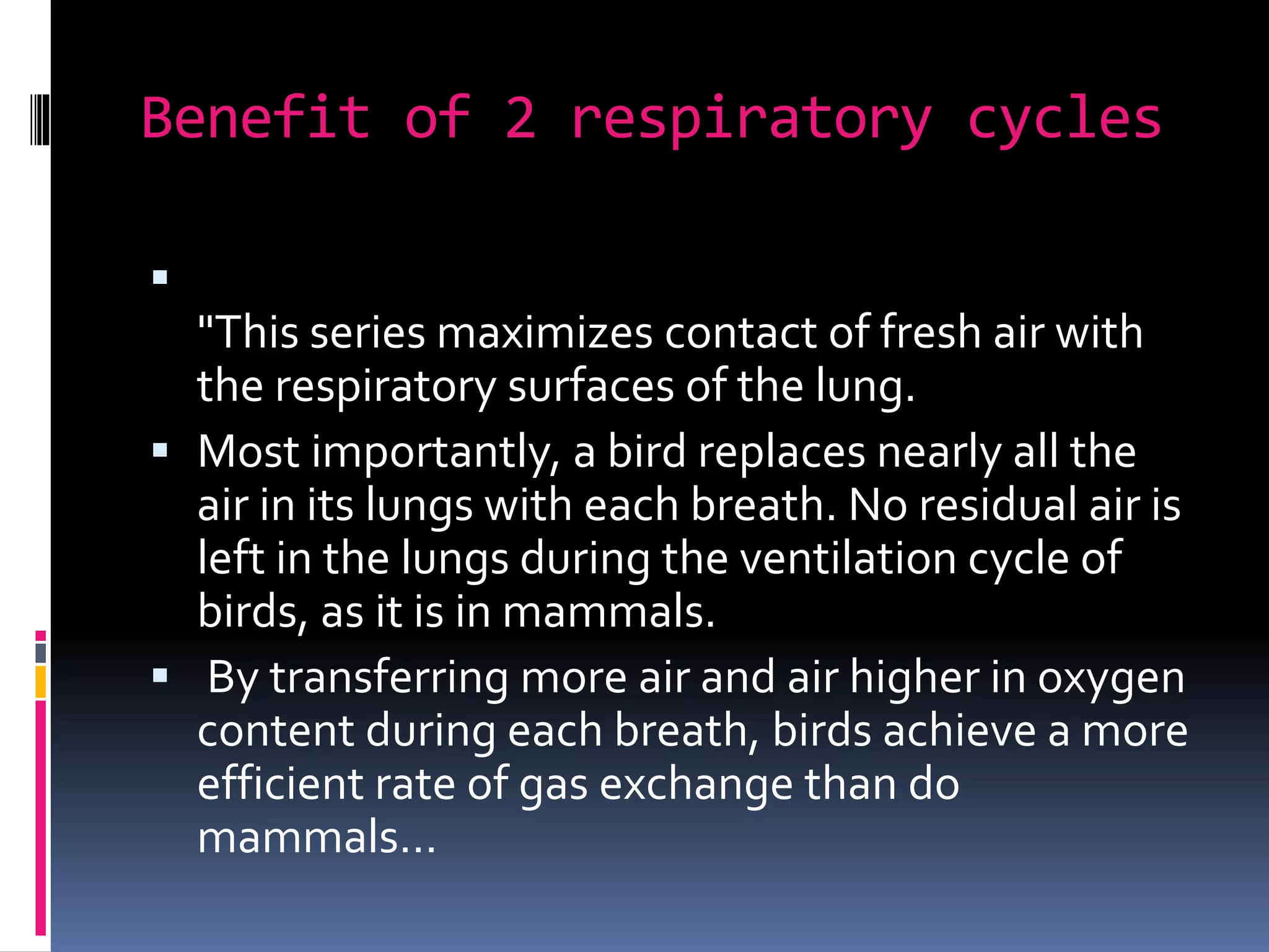 Avian respiration | PPTX