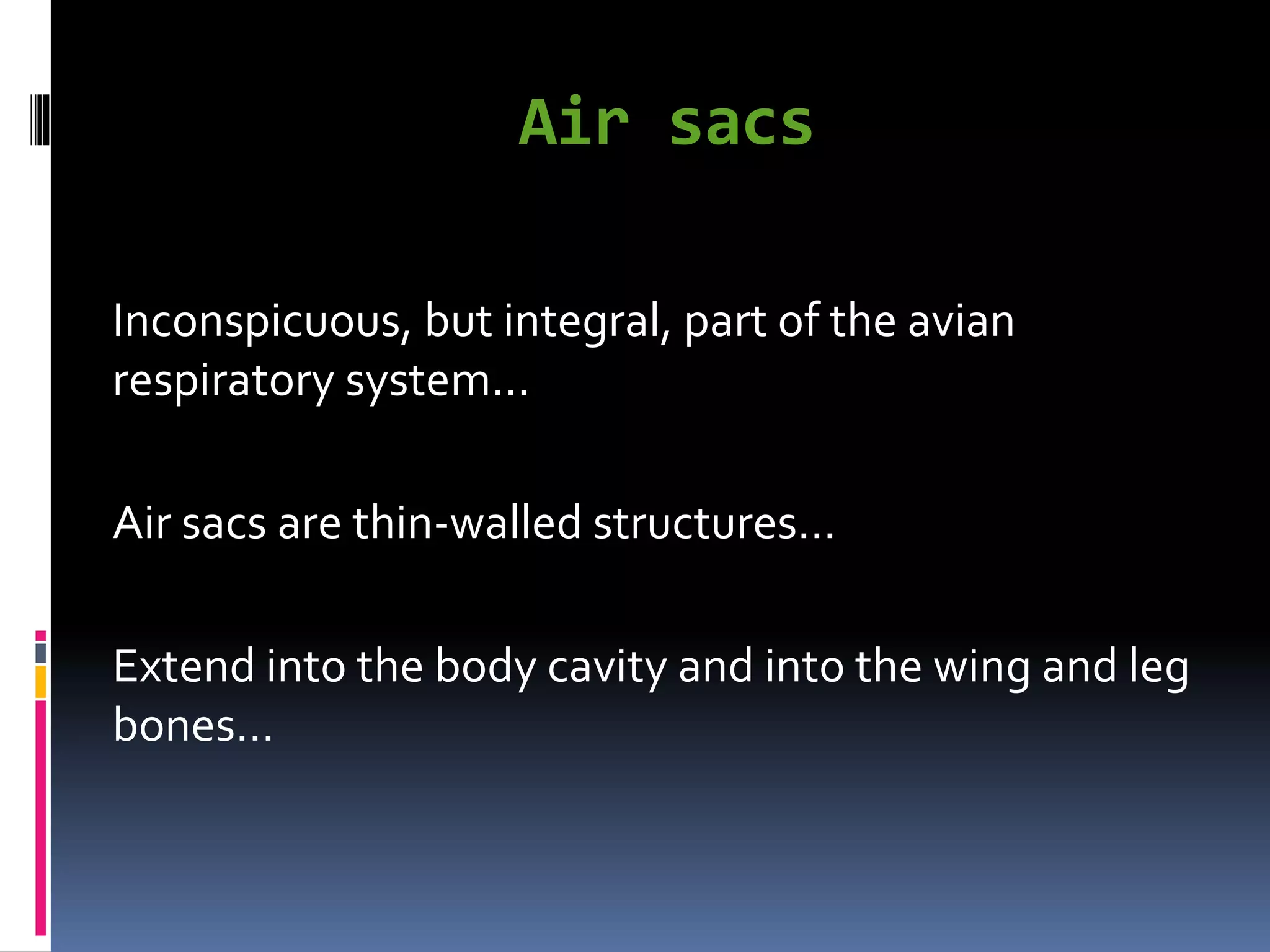 Avian respiration | PPTX