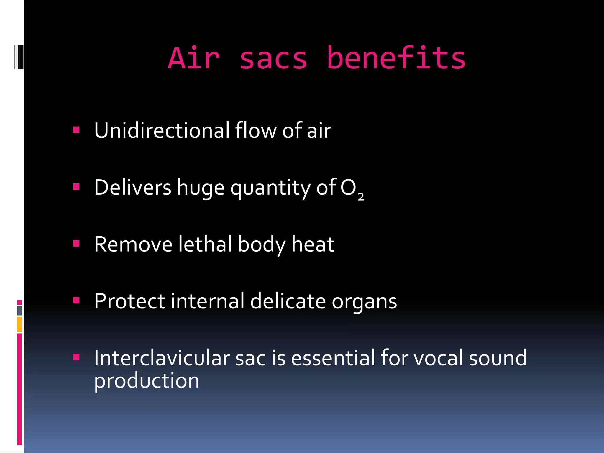 Avian respiration | PPTX