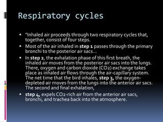 Avian respiration | PPTX