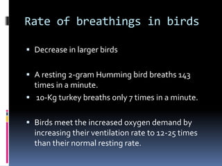 Avian respiration | PPTX