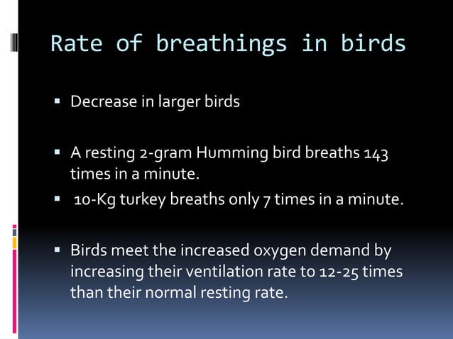 Avian respiration | PPTX