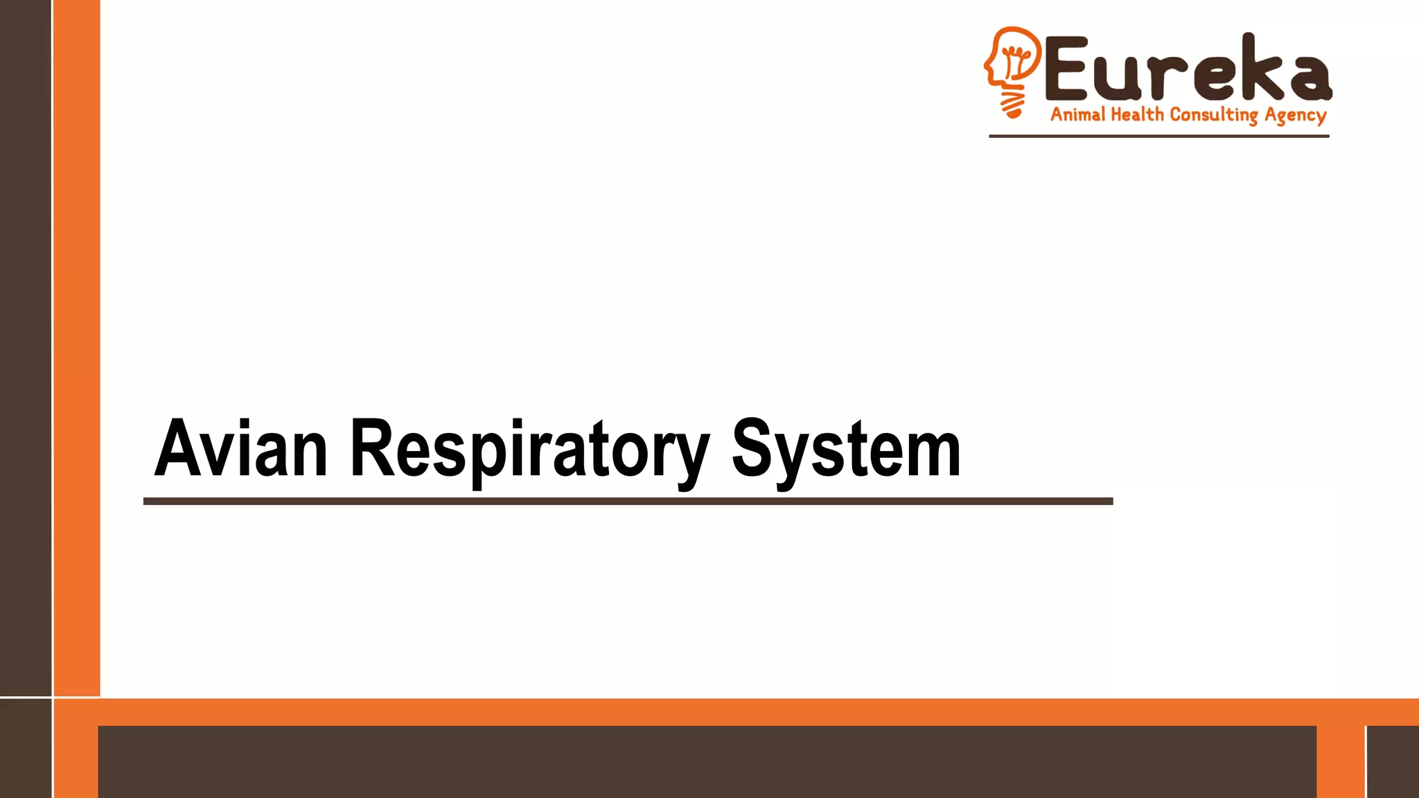 Avian Respiratory System.pptx