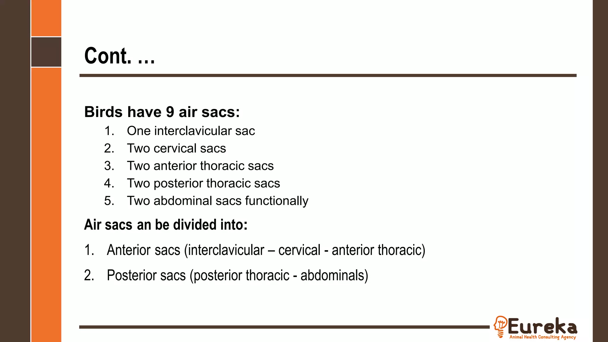 Avian Respiratory System.pptx
