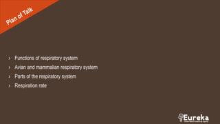 Avian Respiratory System.pptx