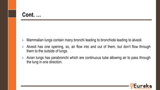 Avian Respiratory System.pptx