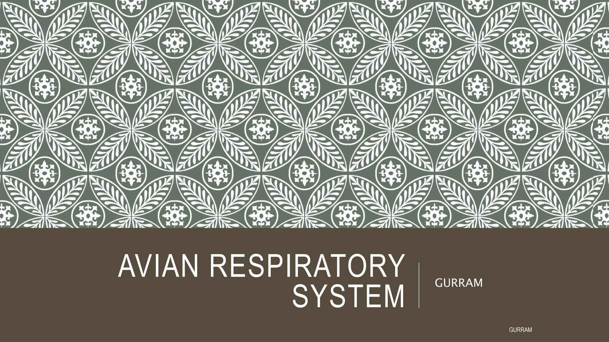 AVIAN RESPIRATORY SYSTEM, The mechanics of respiration | PPTX
