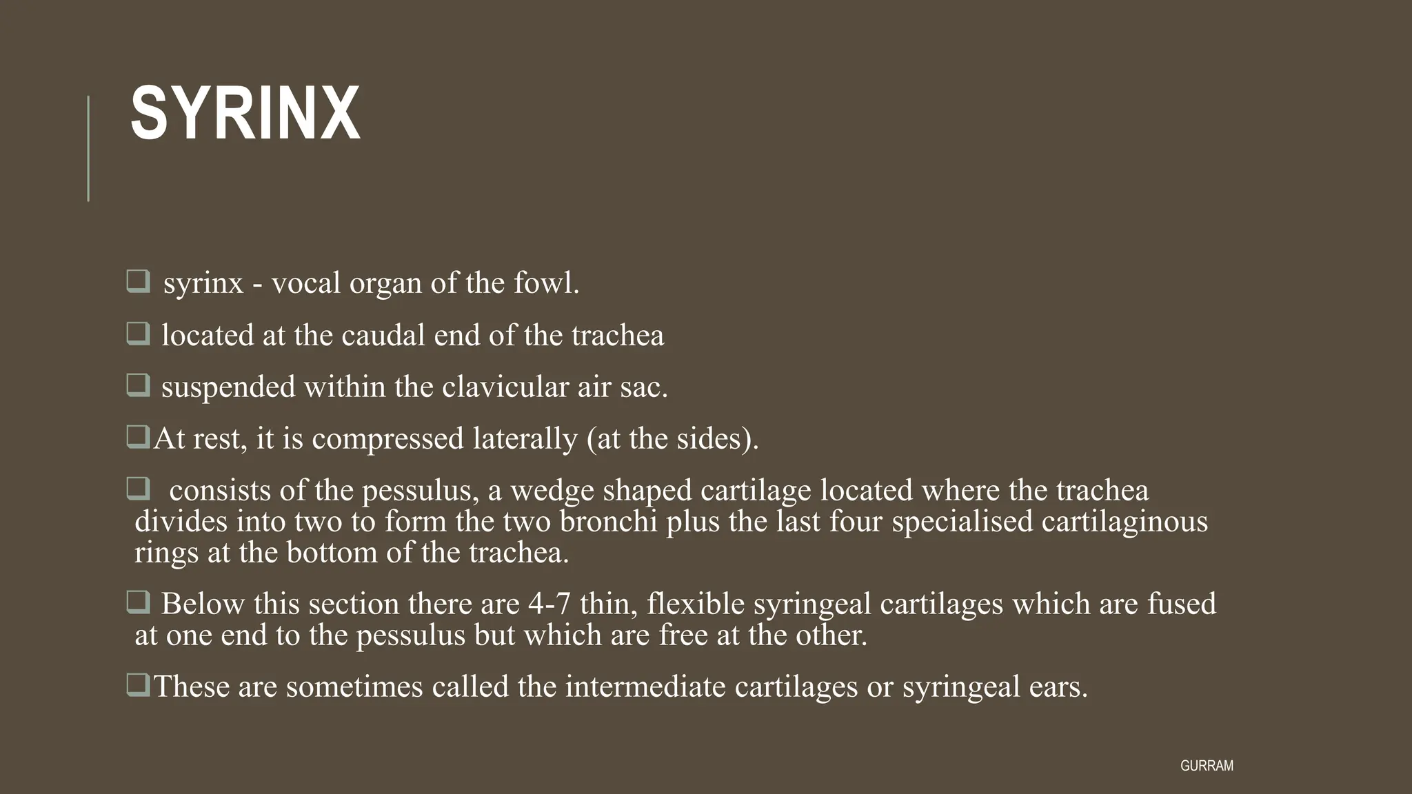 AVIAN RESPIRATORY SYSTEM, The mechanics of respiration | PPTX