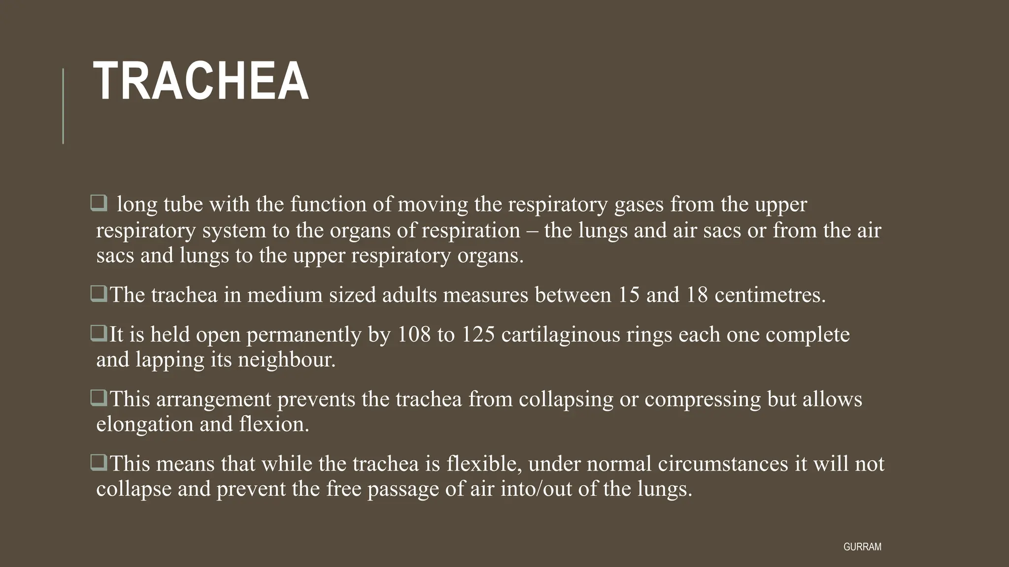 AVIAN RESPIRATORY SYSTEM, The mechanics of respiration | PPTX