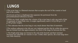 AVIAN RESPIRATORY SYSTEM, The mechanics of respiration | PPTX