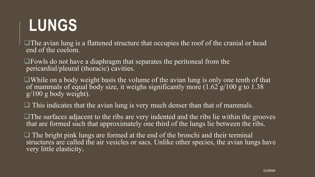 AVIAN RESPIRATORY SYSTEM, The mechanics of respiration | PPTX | Ear ...