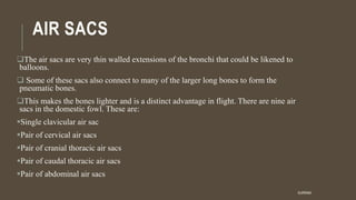 AVIAN RESPIRATORY SYSTEM, The mechanics of respiration | PPTX