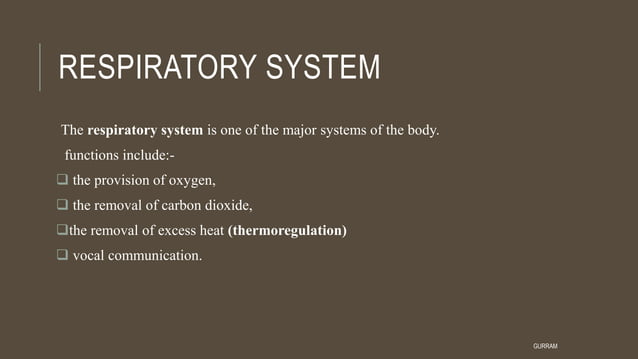AVIAN RESPIRATORY SYSTEM, The mechanics of respiration | PPTX | Ear ...