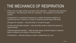 AVIAN RESPIRATORY SYSTEM, The mechanics of respiration | PPTX