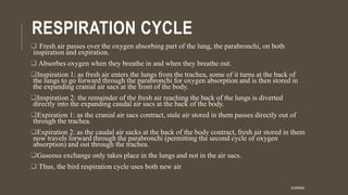 AVIAN RESPIRATORY SYSTEM, The mechanics of respiration | PPTX