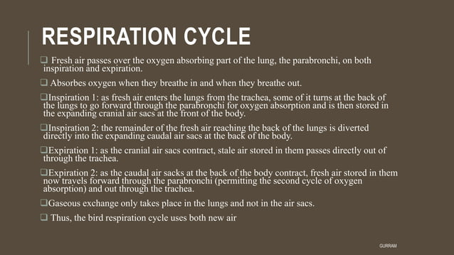 AVIAN RESPIRATORY SYSTEM, The mechanics of respiration | PPTX | Ear ...