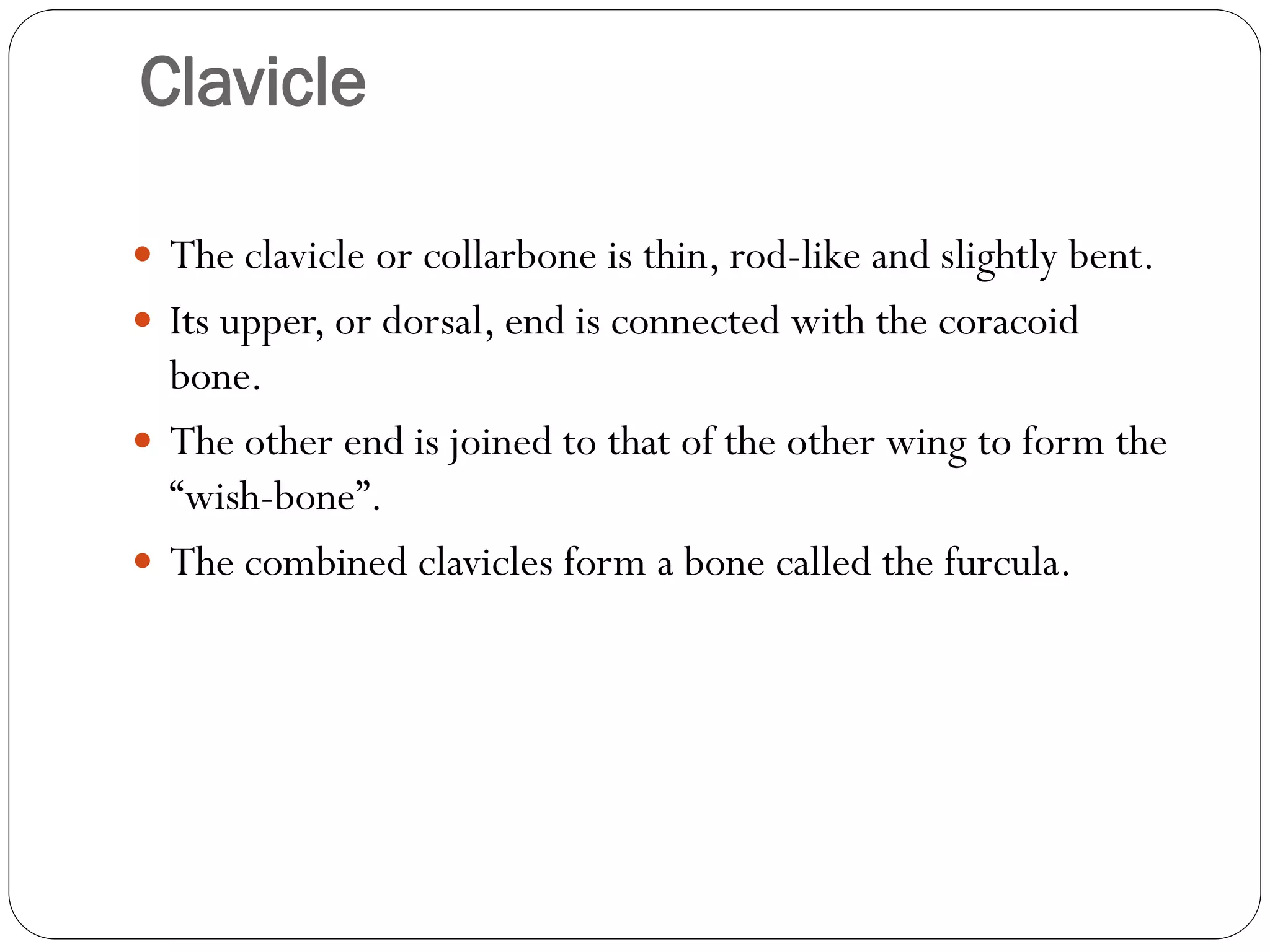Avian skeletal system | PDF