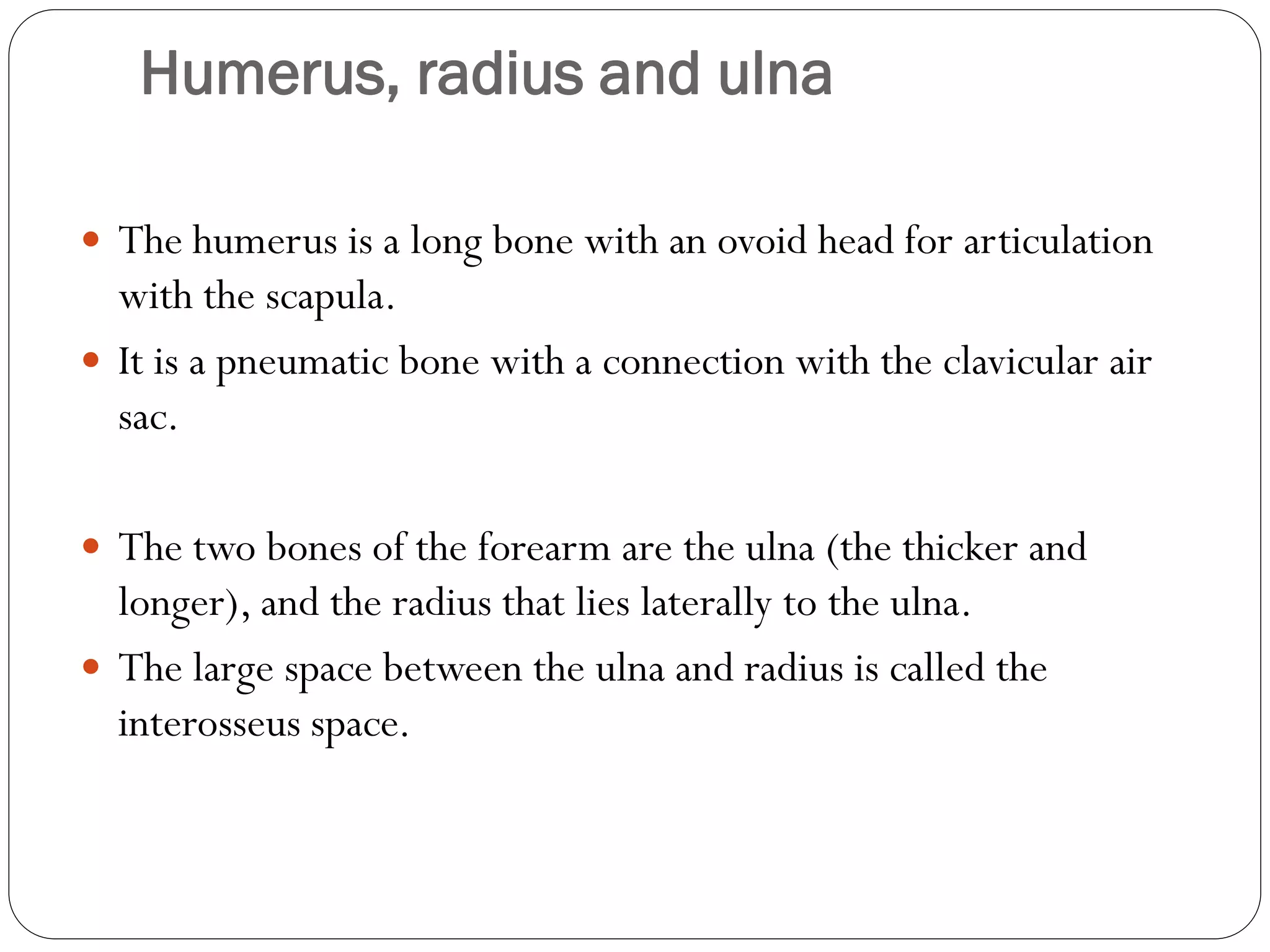 Avian skeletal system | PDF