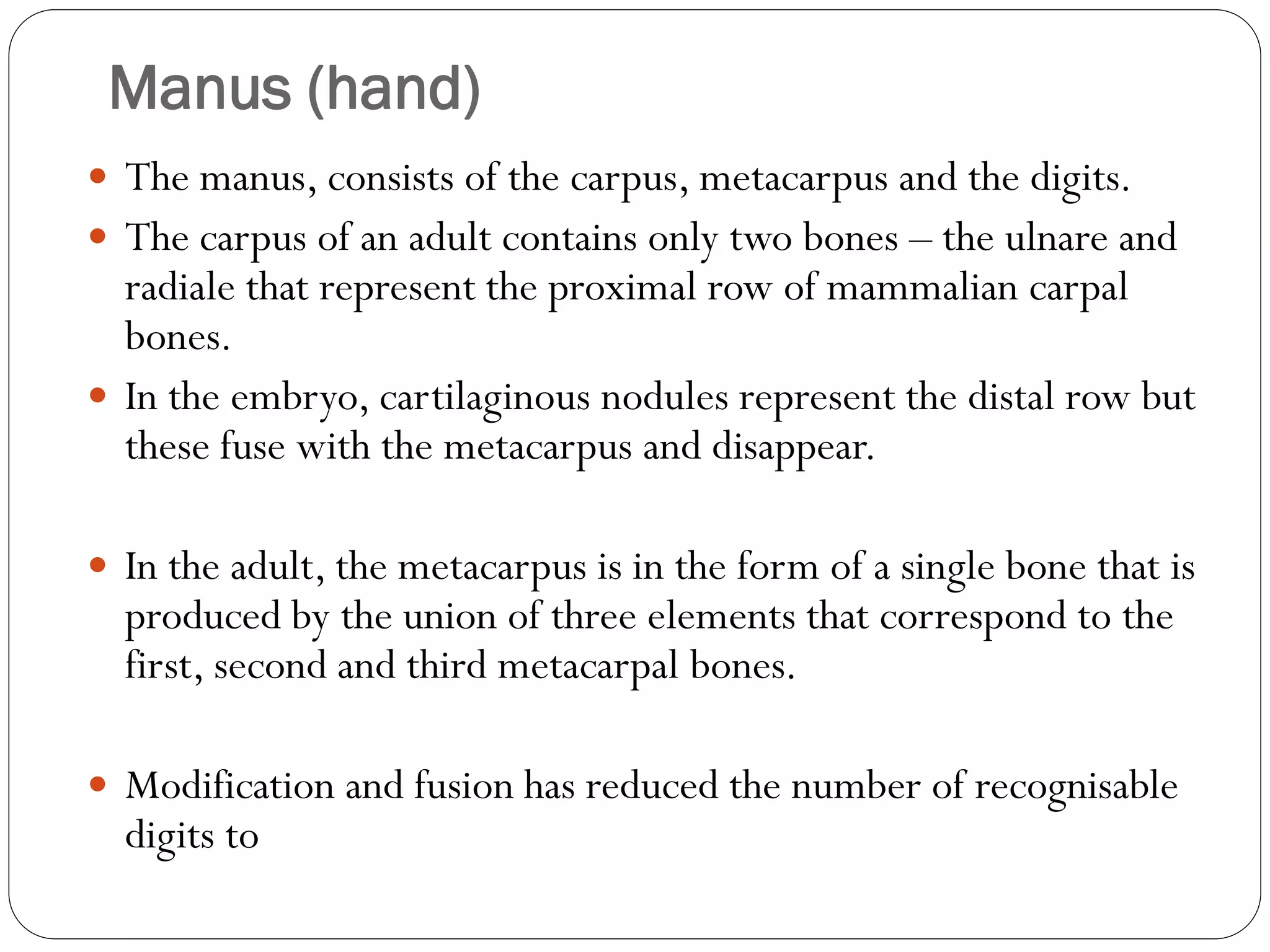 Avian skeletal system | PDF