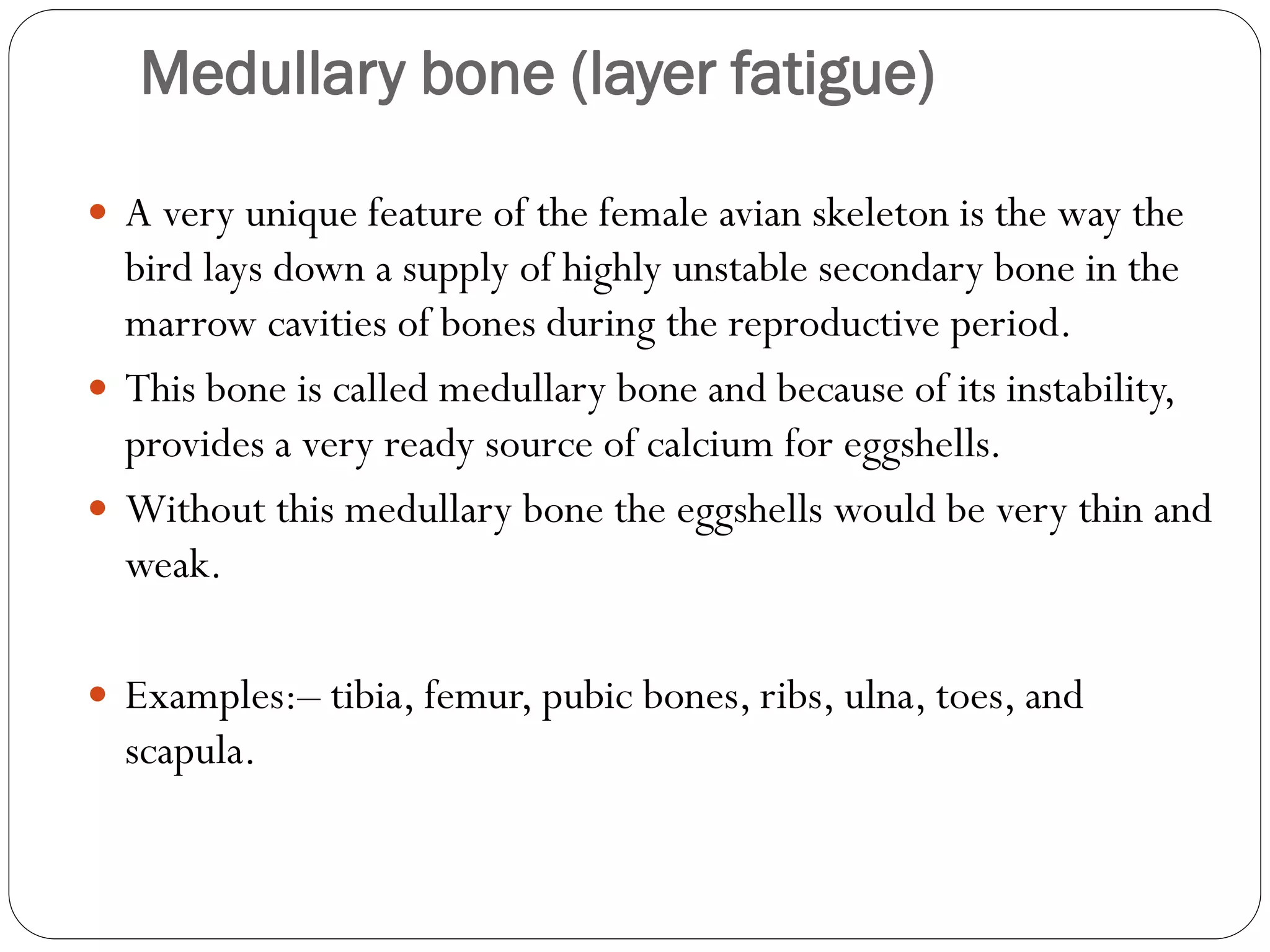 Avian skeletal system | PDF