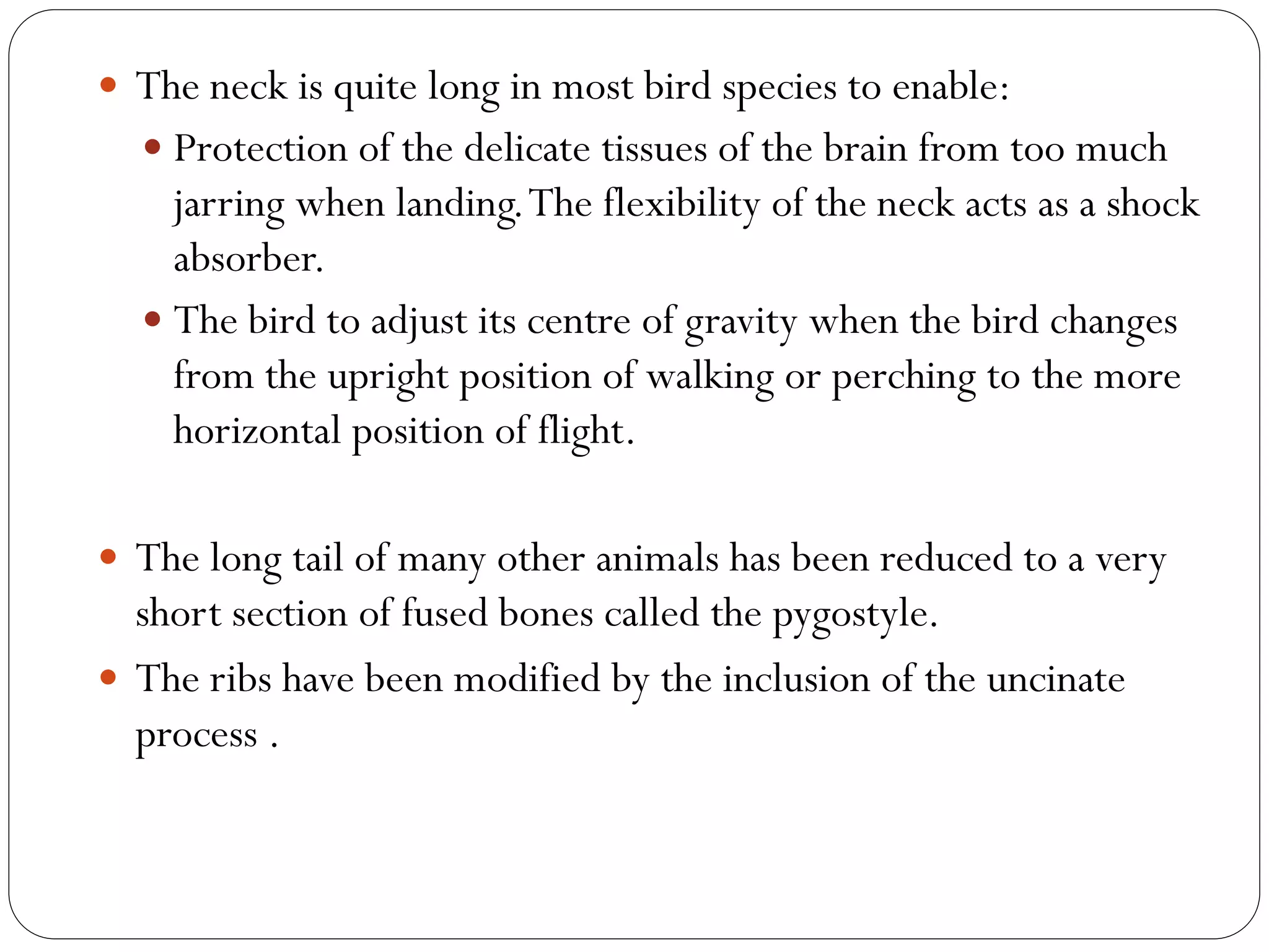 Avian skeletal system | PDF