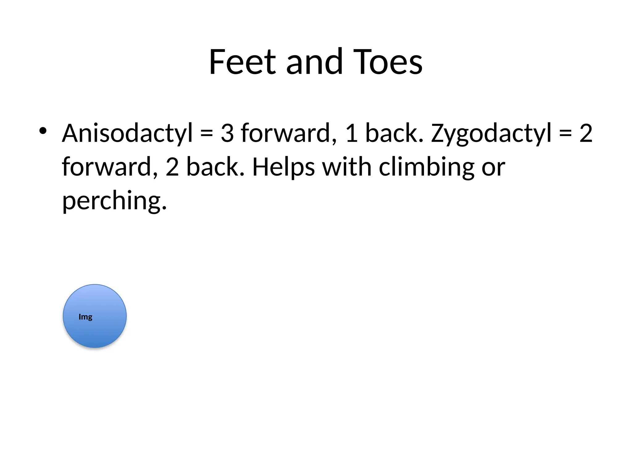 Avian_Teaching_Presentation_With_Notes_Visuals.pptx