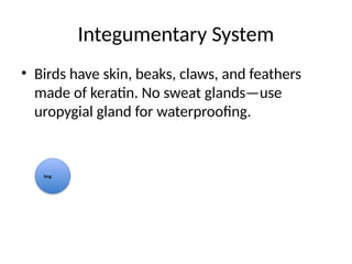 Avian_Teaching_Presentation_With_Notes_Visuals.pptx