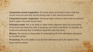 Avicenna (Ibn e Sina) | PPTX