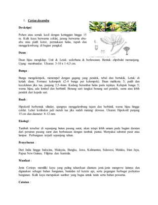 Avicennia alba | PDF